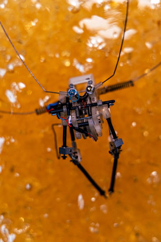 Robot ispirati dagli insetti e gusci di mandorla per l'elettronica ...